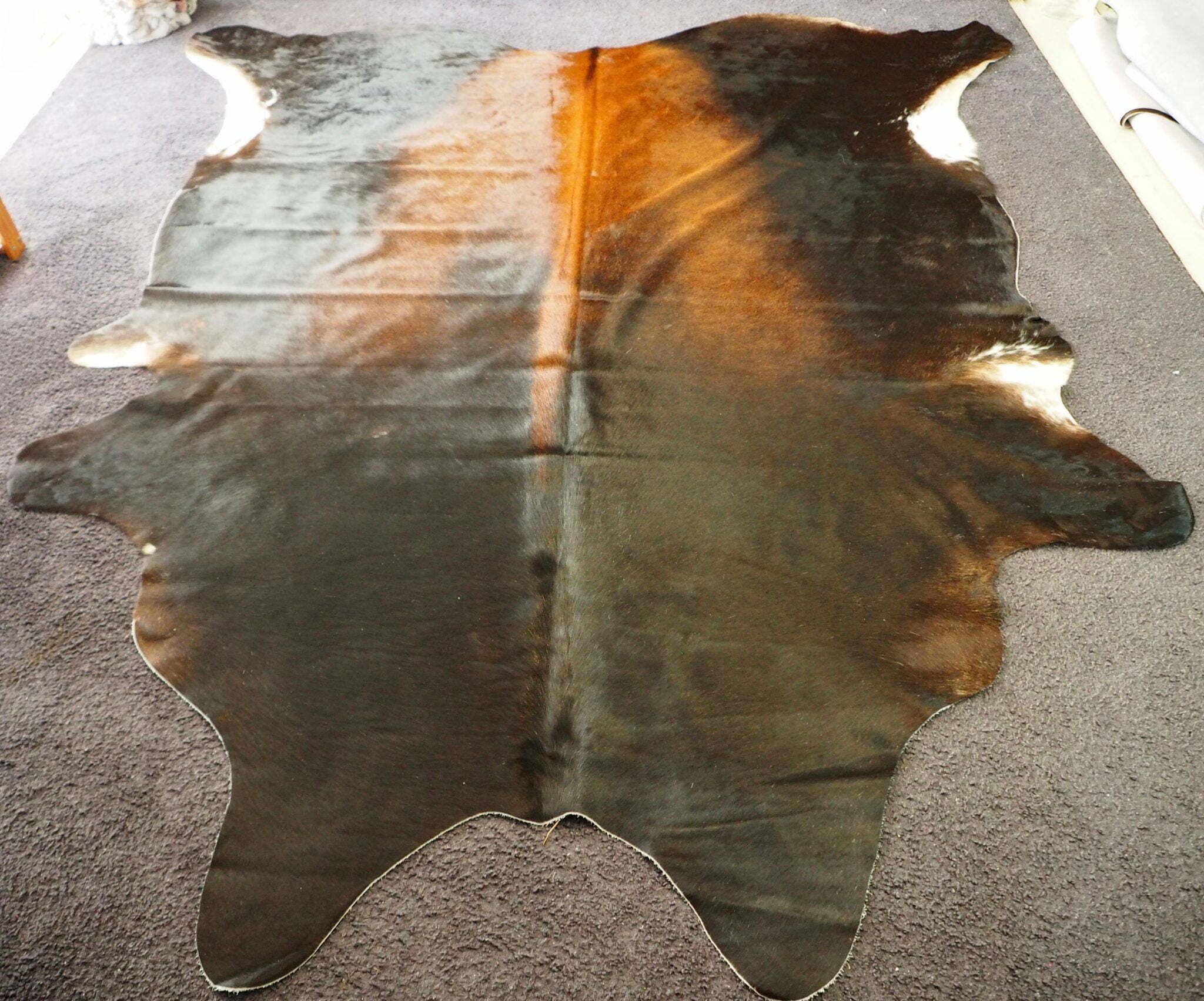 A Totally Massive and very beautiful Black and Tan Cowhide Rug