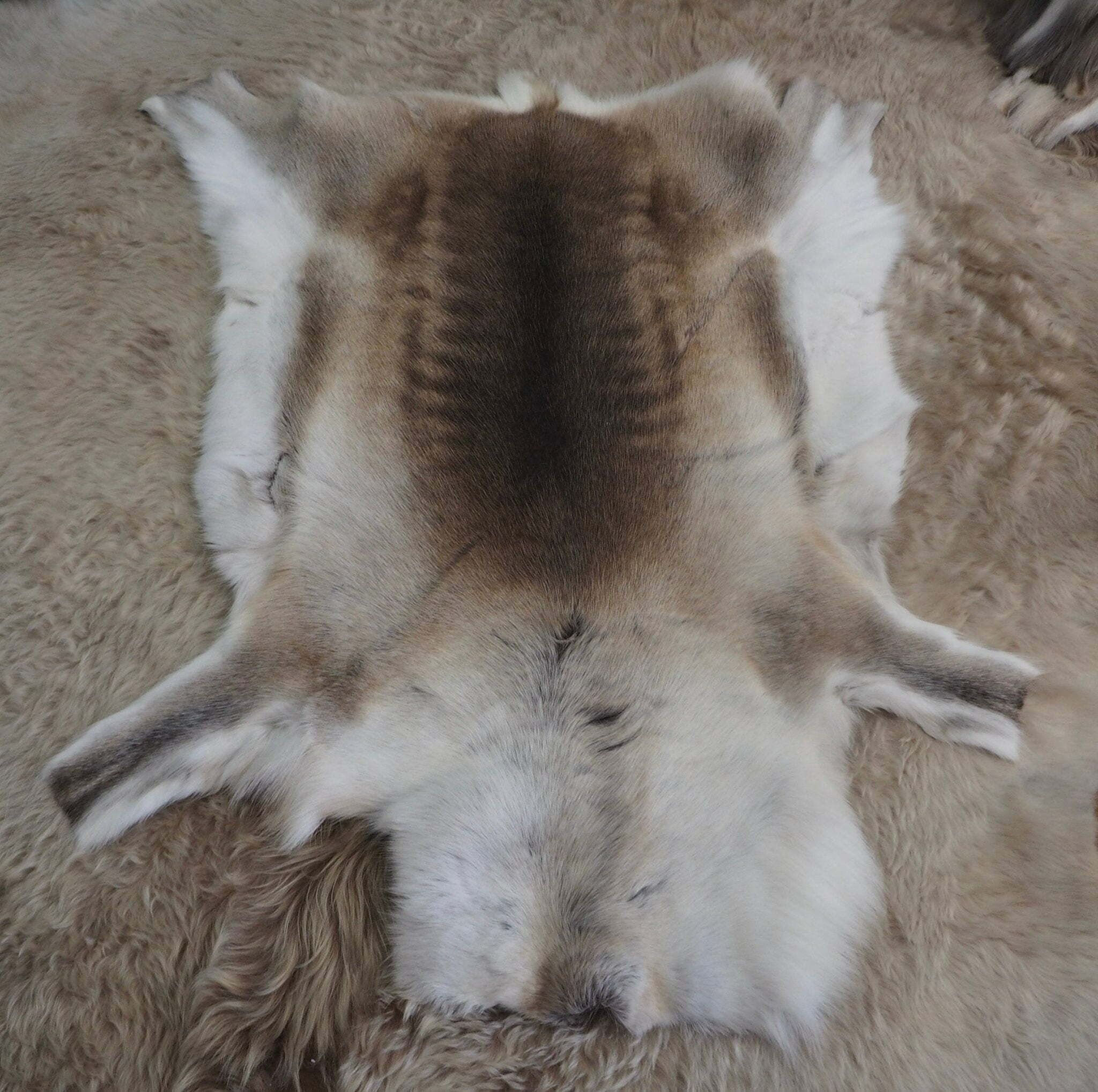 Beautiful Markings and Soft Tones - A Wonderful Reindeer Hide - From ...