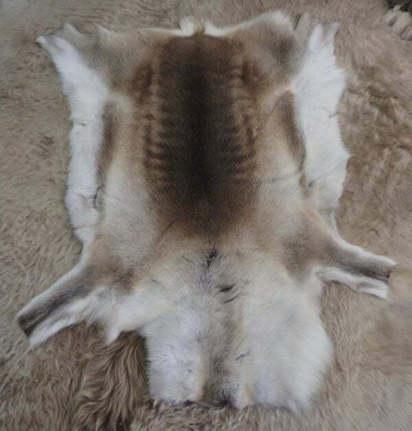 Beautiful Markings and Soft Tones - A Wonderful Reindeer Hide - From ...