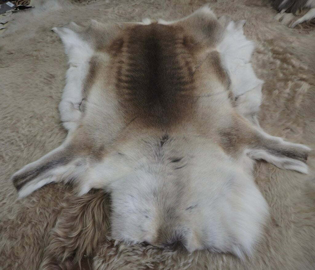 Beautiful Markings and Soft Tones - A Wonderful Reindeer Hide - From ...
