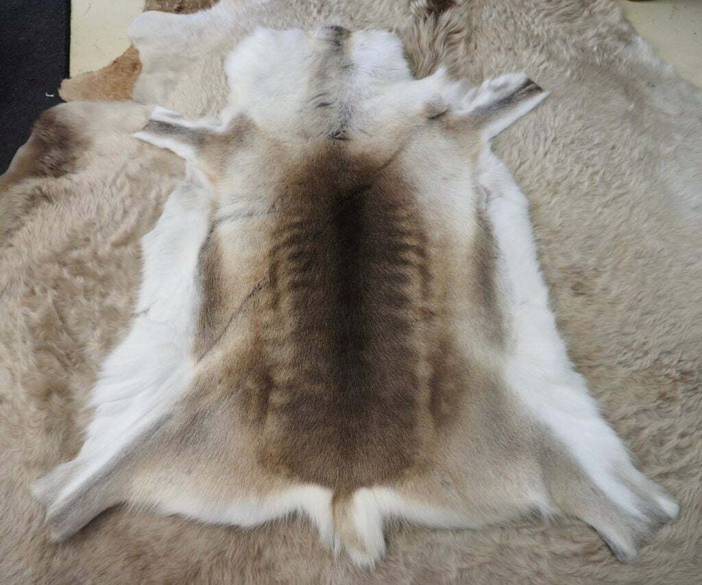 Beautiful Markings and Soft Tones - A Wonderful Reindeer Hide - From ...