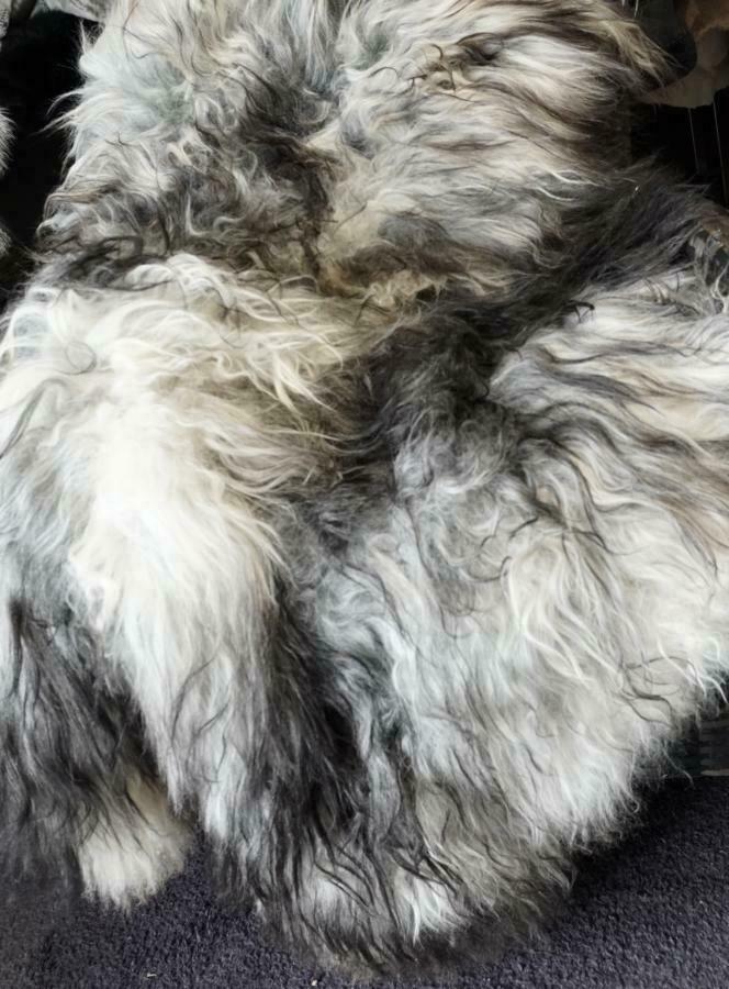 A Stunning Shades of Natural Grey Long Wool Icelandic Sheepskin Rug