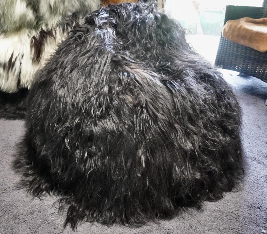 Amazing Natural Black Icelandic Long Wool Bean Bag - Awaken the Wild in ...