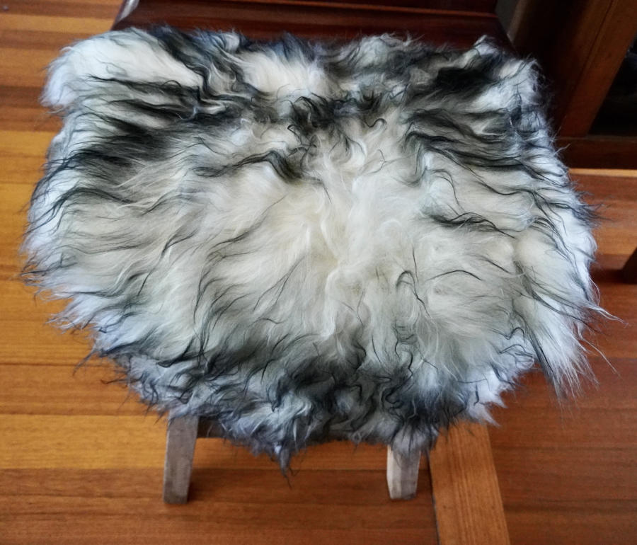 From the Arctic Circle - A Beautiful Dark Tipped Icelandic Sheepskin Rug