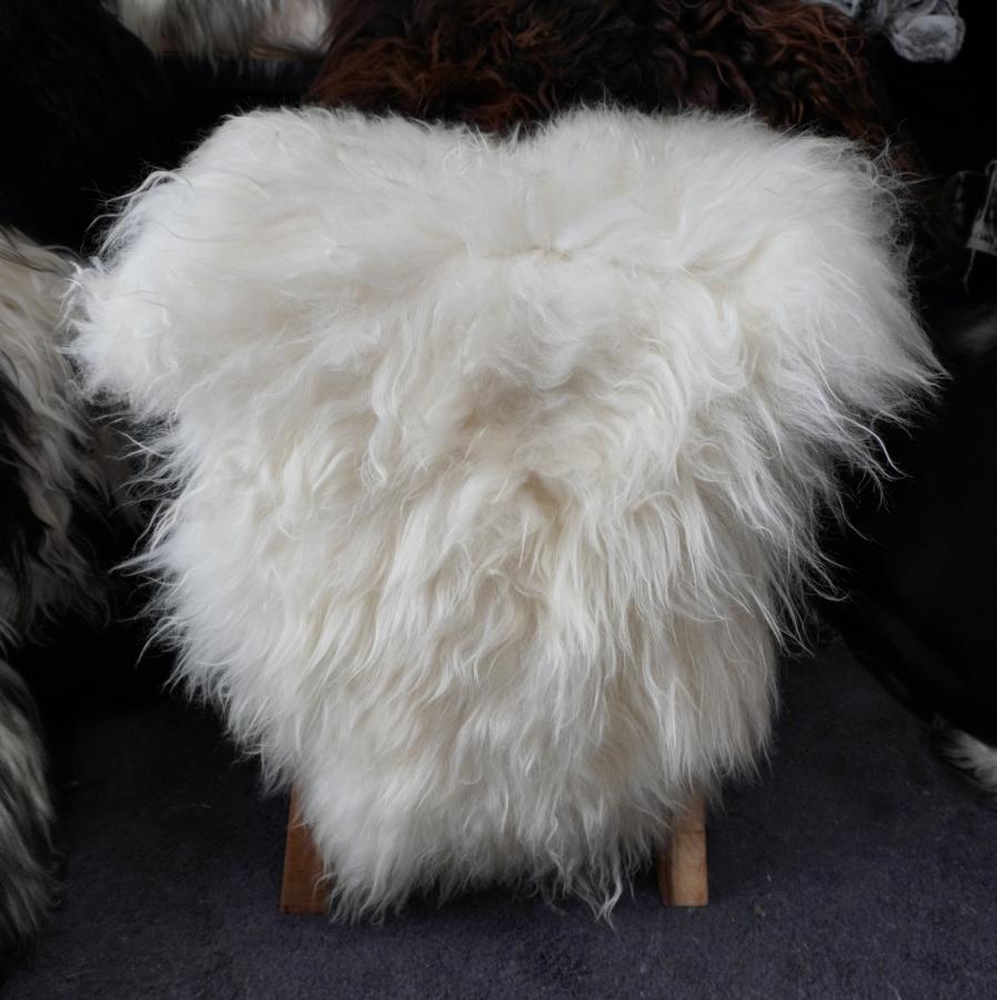 White & Wonderful _A Beautiful Natural White Long Wool Icelandic ...