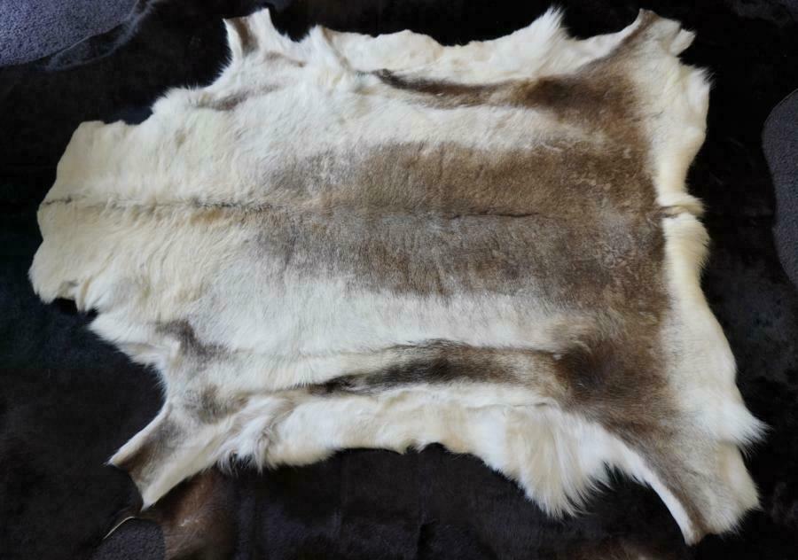Striking Markings - A Wonderful Traditionally Farmed Reindeer Hide