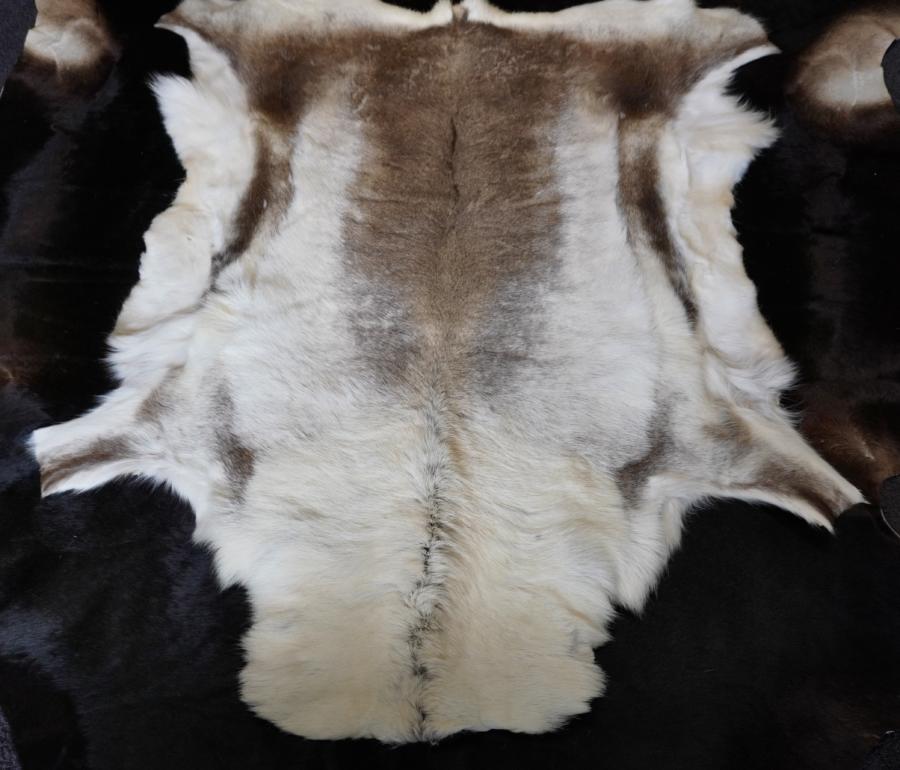 Striking Markings - A Wonderful Traditionally Farmed Reindeer Hide