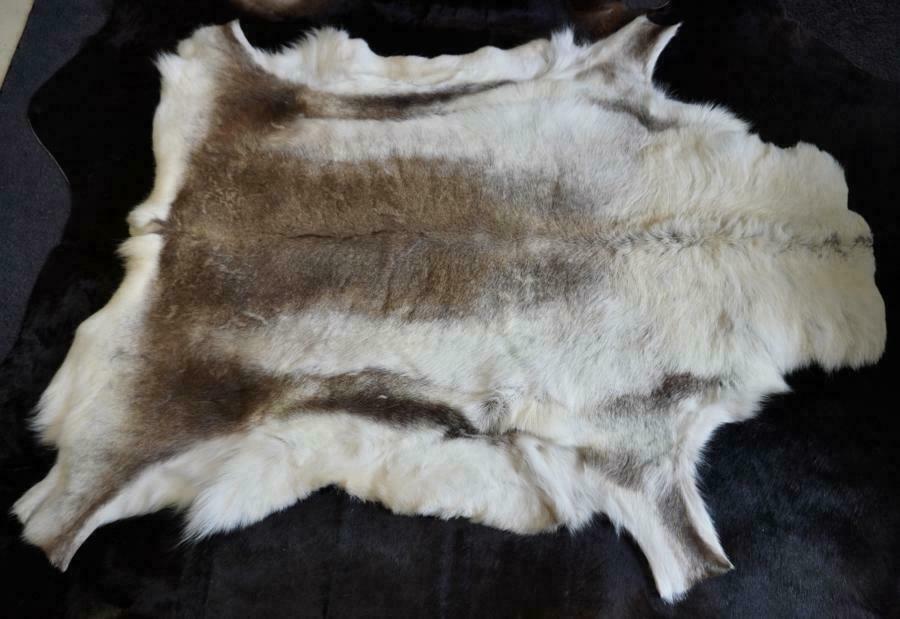 Striking Markings - A Wonderful Traditionally Farmed Reindeer Hide