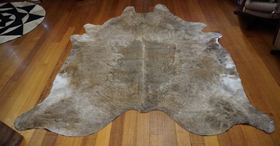 A Massive Heavy Hide - Touched with GInger and Gold - Just Magnificent