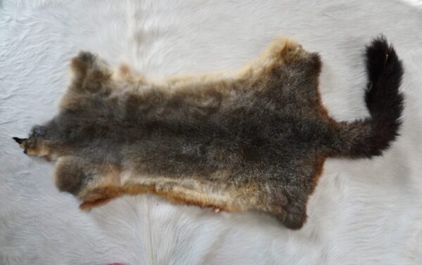 Tasmanian Possum Skin - Naturally Wild